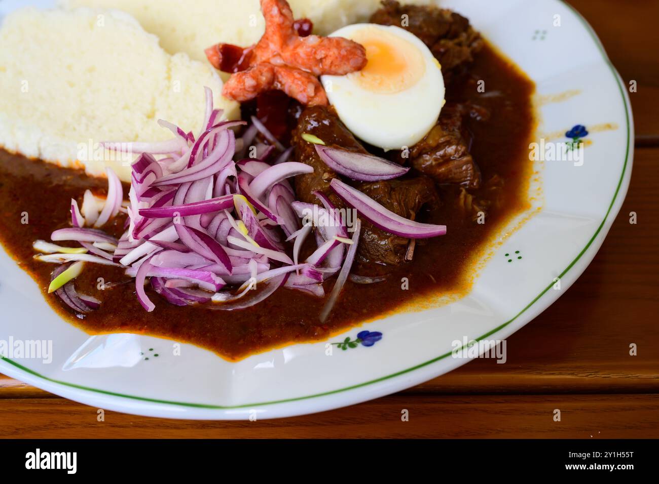 Czech Beef Goulash Cesky Hovezy Gulas with Fresh Onions and Houskove ...