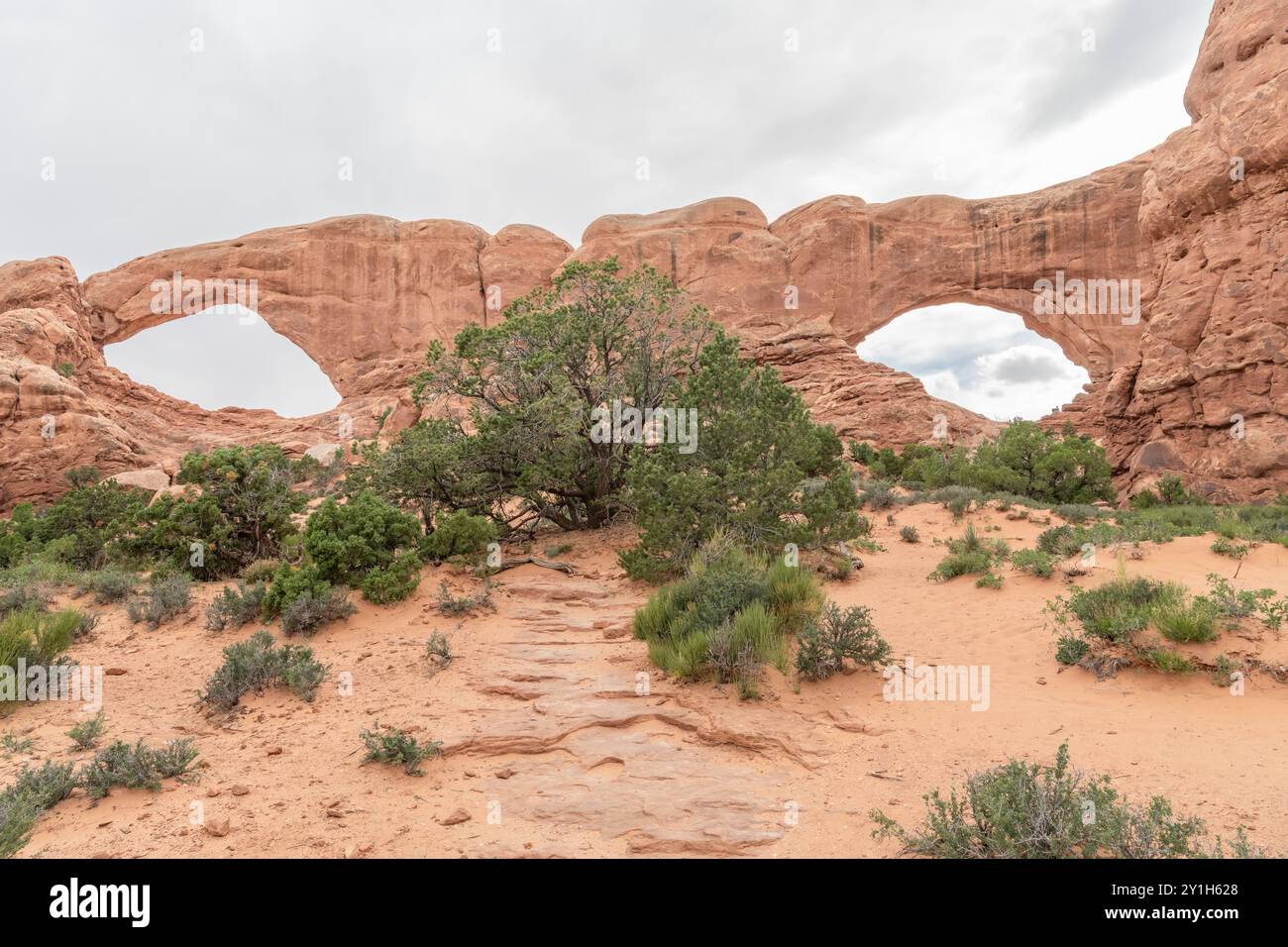Spectacles arches hi-res stock photography and images - Alamy