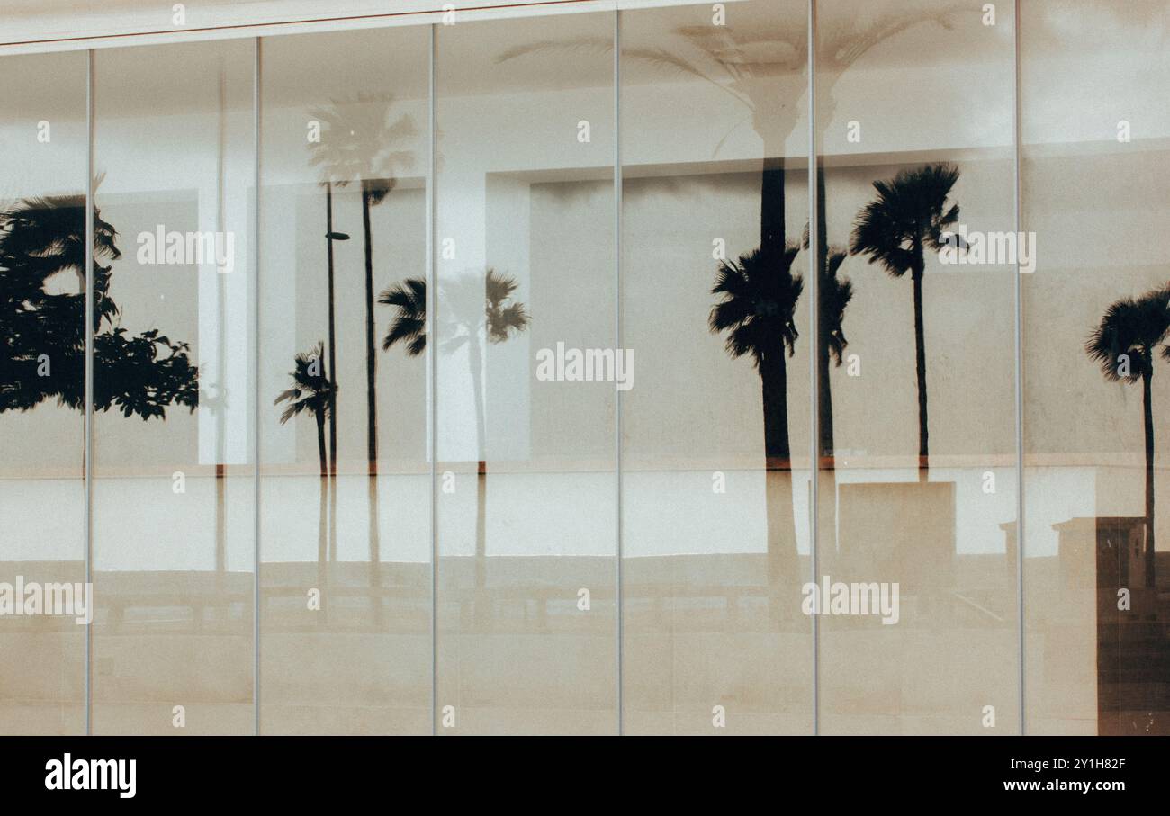 Creative wallpaper with reflection of palm trees in a panoramic window ...