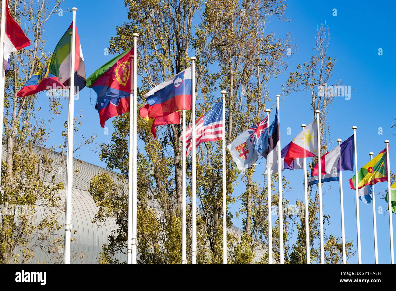 Flags of countries on the background of trees Stock Photo - Alamy