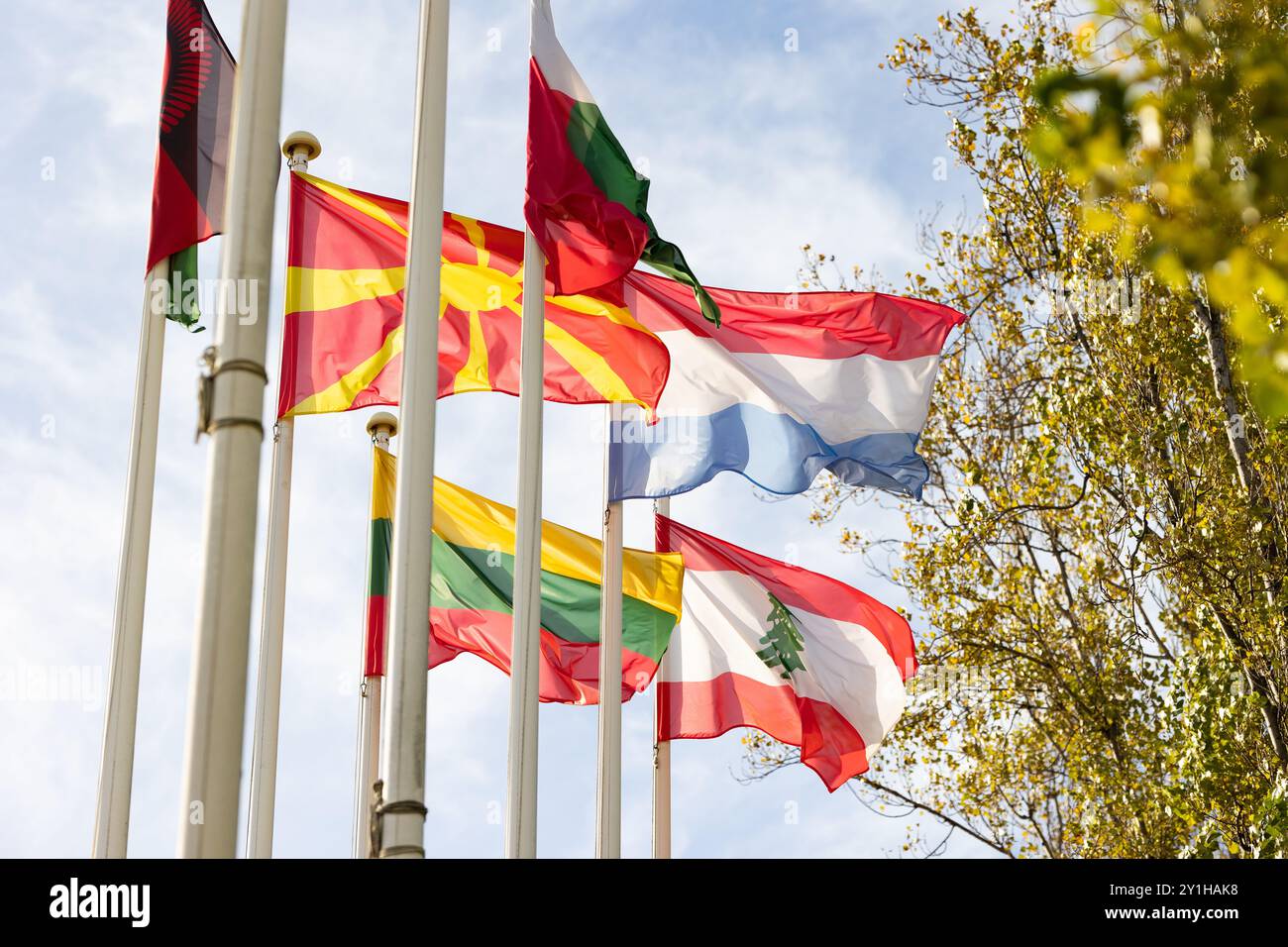 Flags of countries fluttering in the wind Stock Photo - Alamy