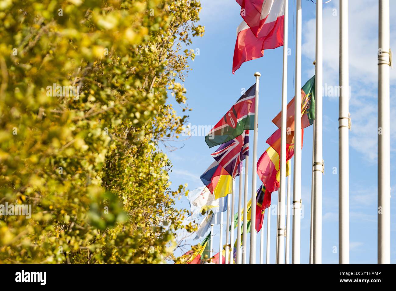Flags of countries fluttering in the wind next to trees Stock Photo - Alamy