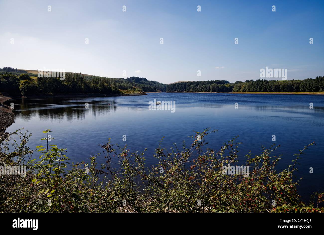 The Blue water of the Turton and Entwistle Reservoir Stock Photo - Alamy