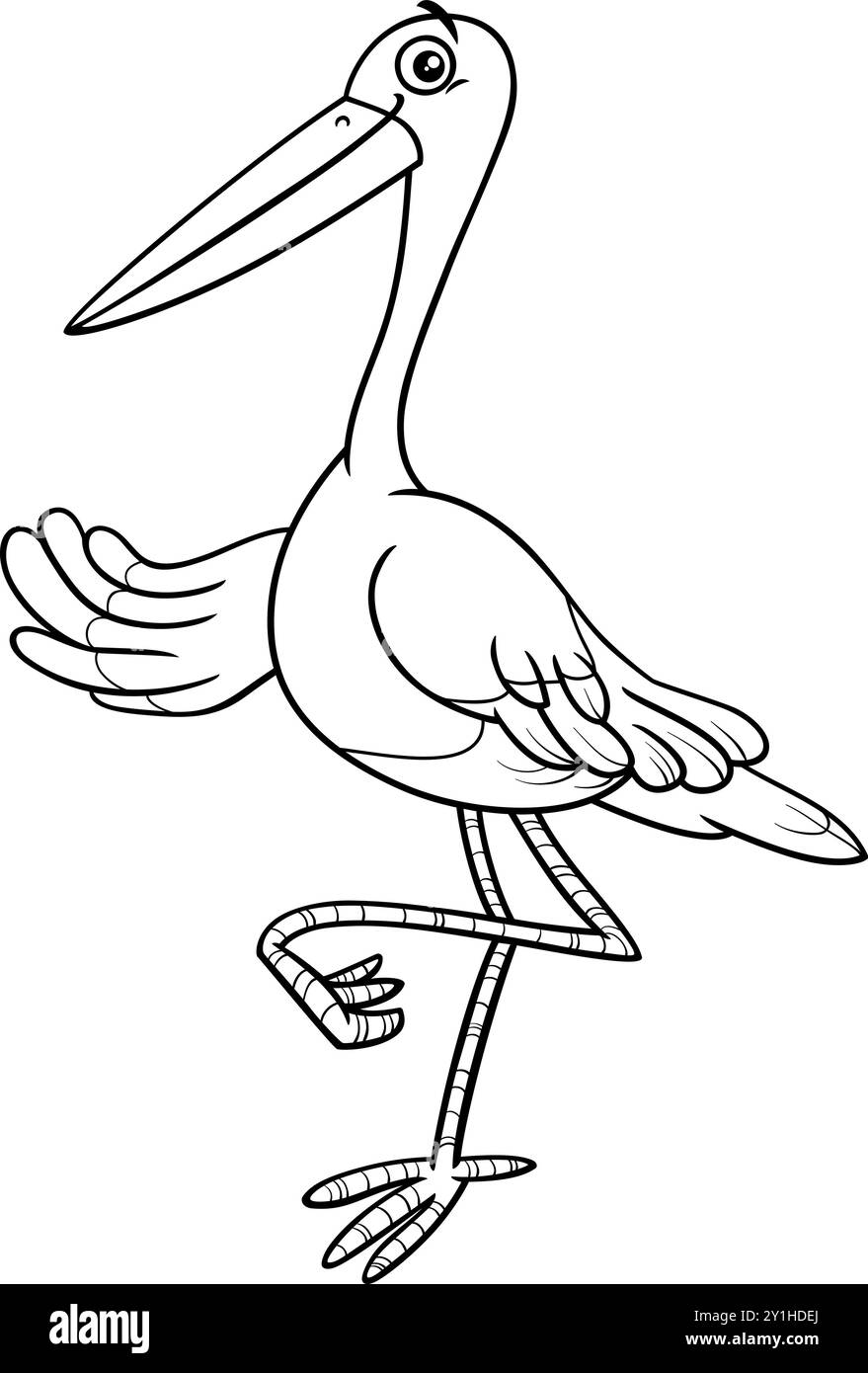 Stork Bird Drawing Stork Bird Illustration Graphics | Motion Array