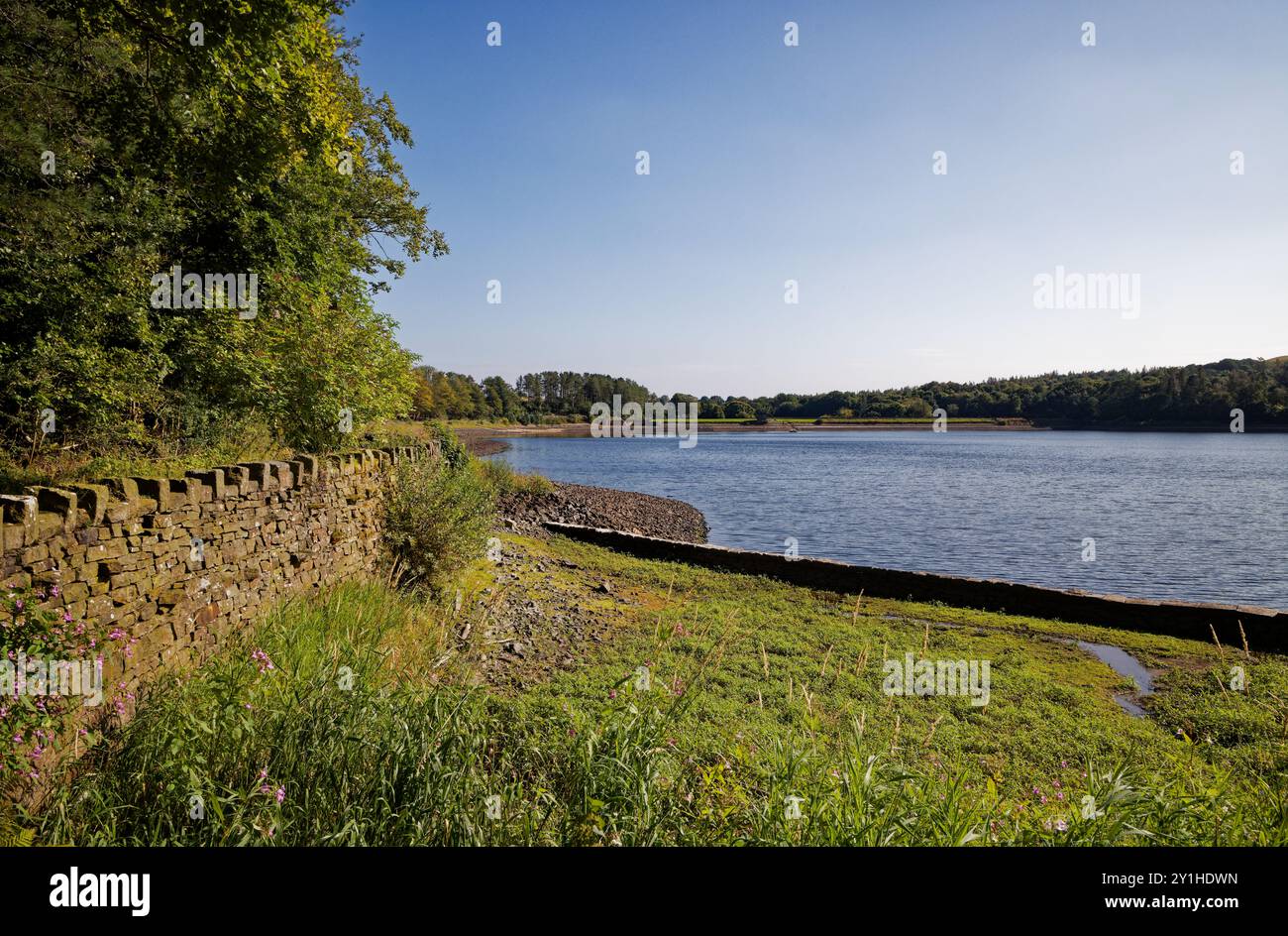 Summer afternoon at Turton and Entwistle Reservoir Stock Photo - Alamy