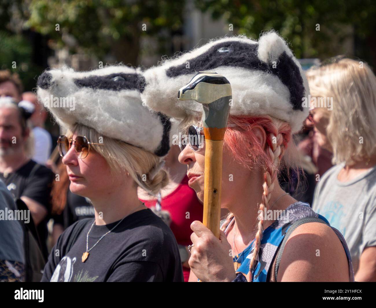Protesters in Badger costumes gather outside the Houses of Parliament ...