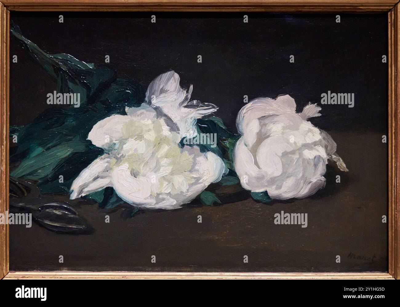 Édouard Manet (Paris 1832 - Paris 1883), Branche de pivoines blanches ...