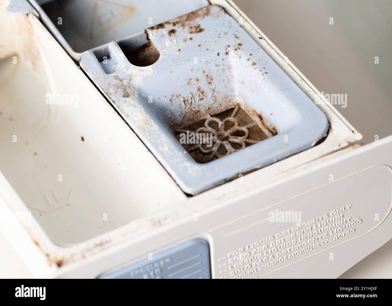 Dirt and mold in the washing machine tray. Unsanitary conditions ...