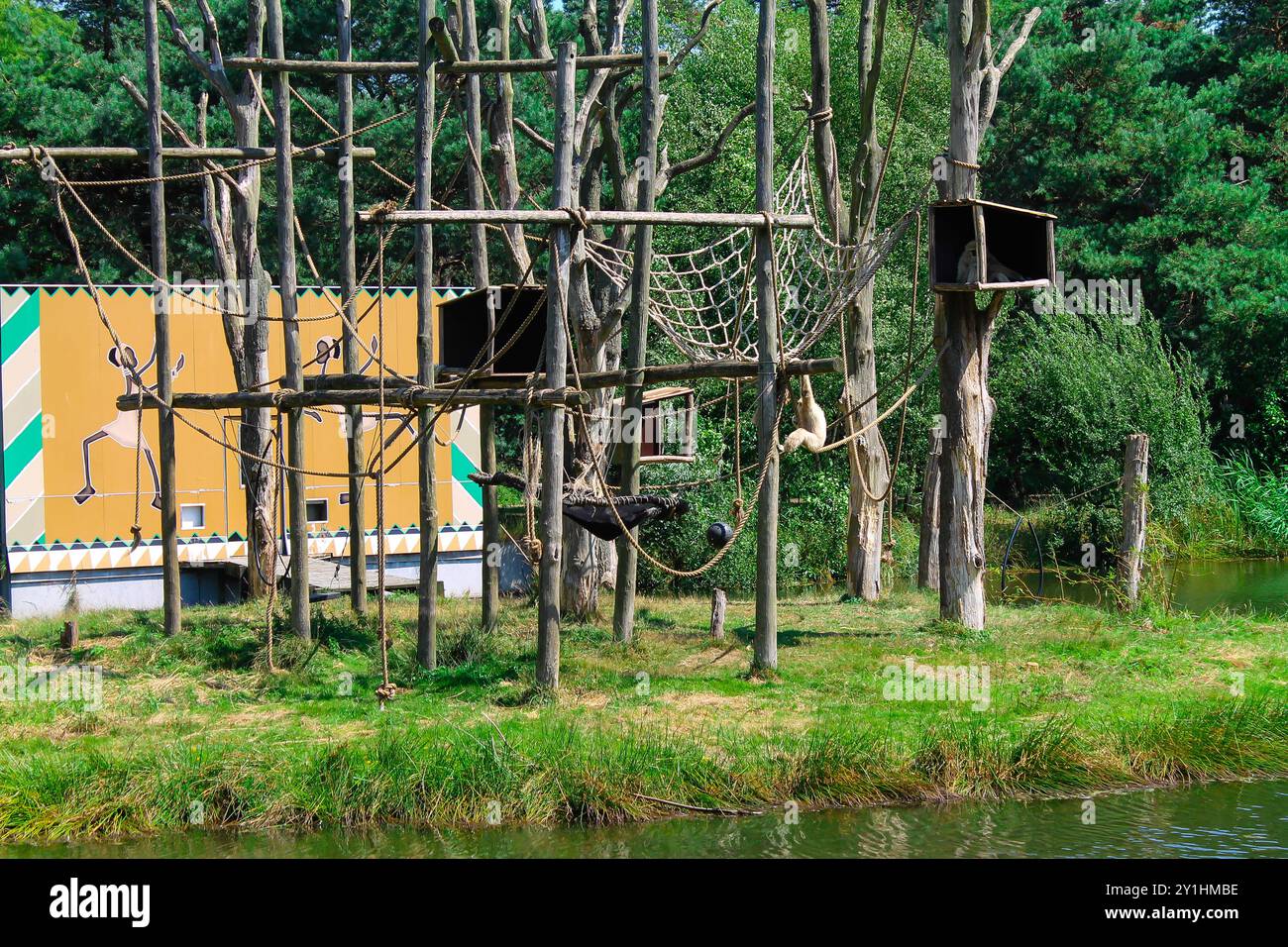 A natural habitat setup featuring wooden structures and ropes for ...