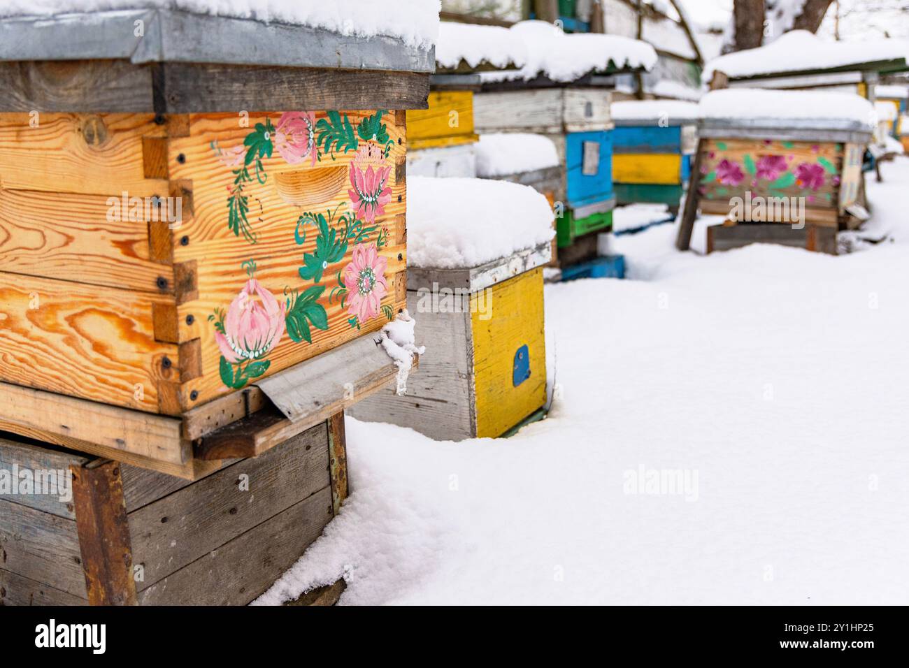 The colorful bee hives stand frozen under a blanket of snow, showcasing ...