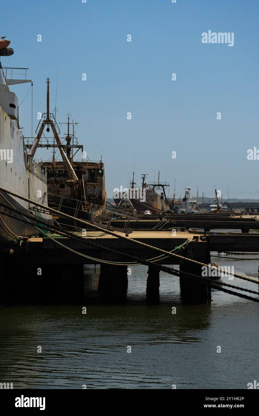 Averio hi-res stock photography and images - Alamy