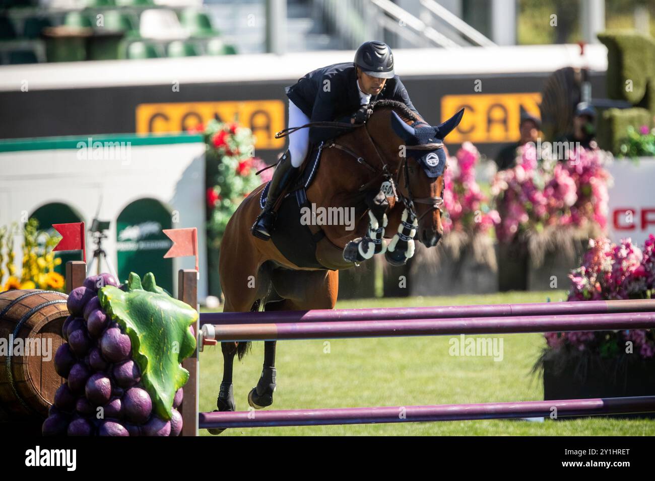 Calgary, Canada - Sept., 5, 2024. Nayel Nassar of Egypt, riding Esi Ali ...