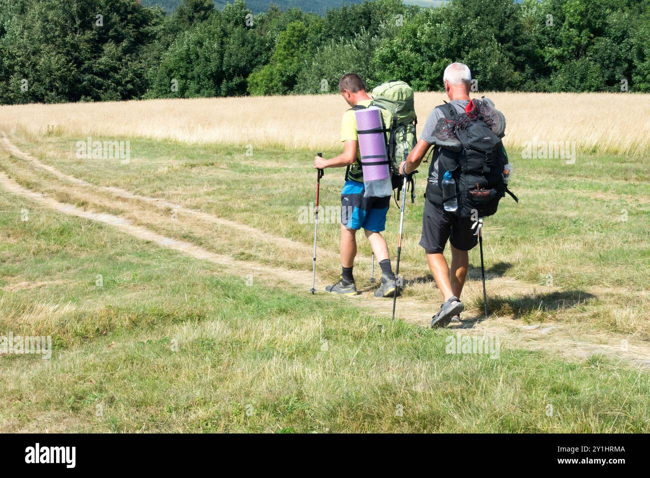 Two hikers with backpacks walking on a trail through an open grassy ...