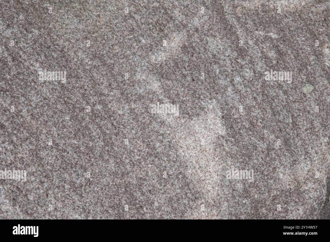 Close up photo of a granulated rock texture. The rock contains whites ...