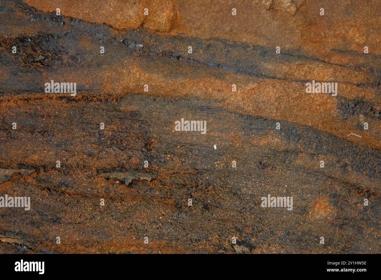 Close up photo of a rust colored rock with black streaks. Large stone ...