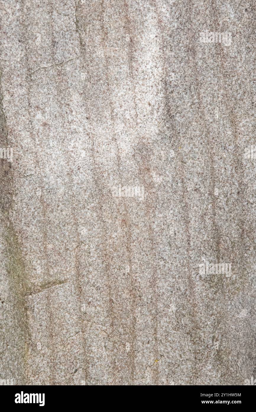 Close up photo of a granulated rock texture. The rock contains whites ...