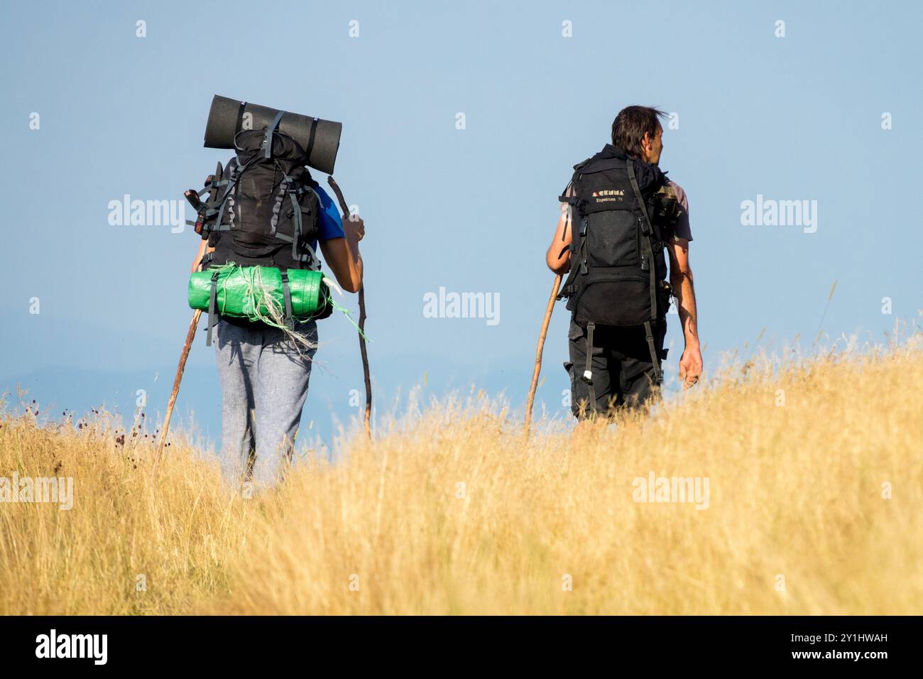 Hiker in grassy meadow hi-res stock photography and images - Alamy