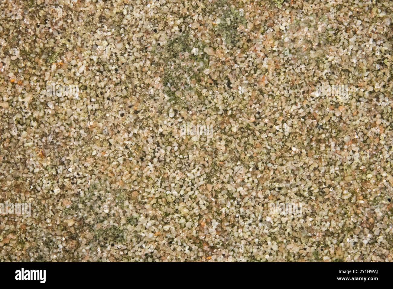 Diverse visual texture hi-res stock photography and images - Alamy