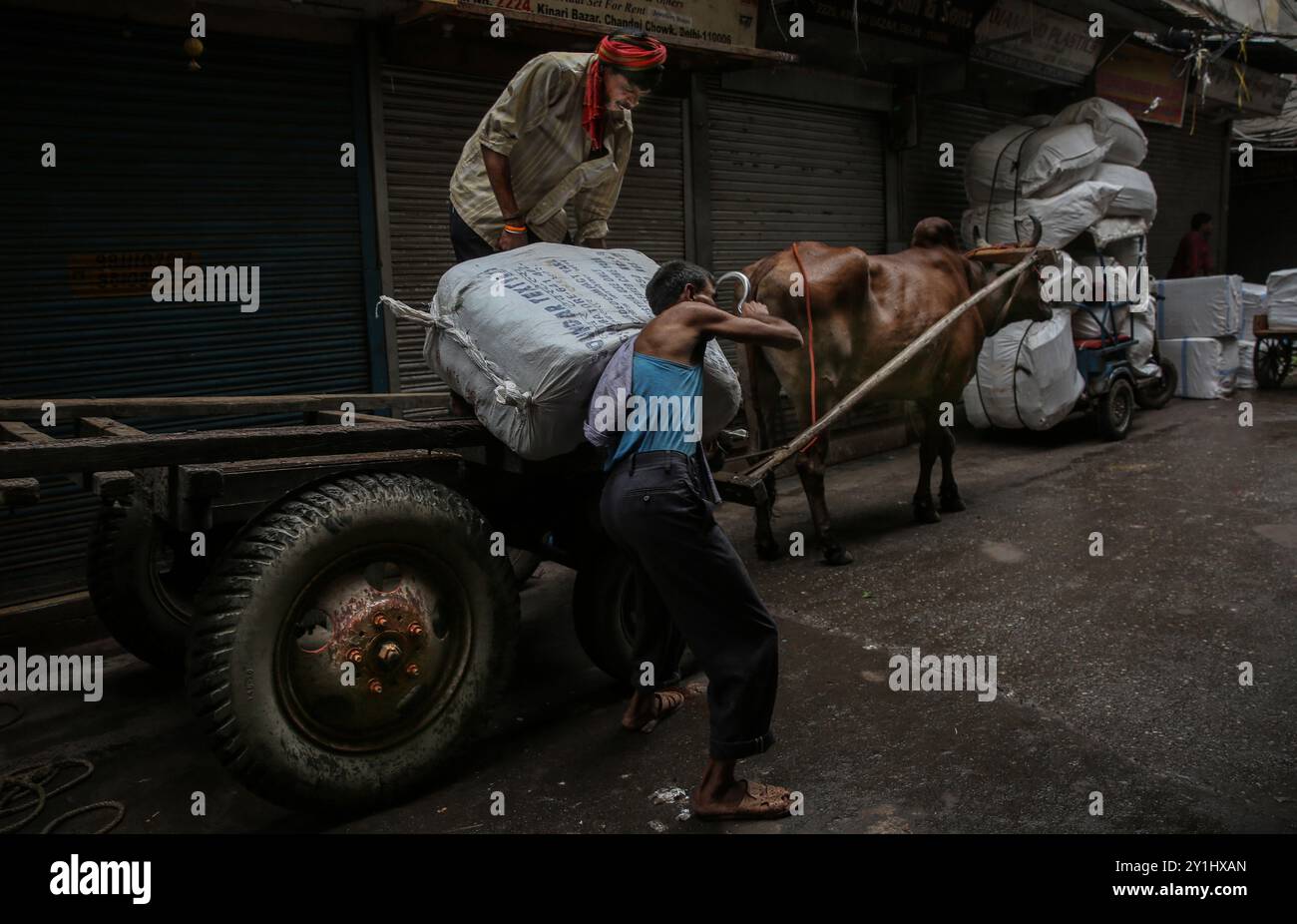 New Delhi, India. 7th Sep, 2024. Workers unload goods from a bullock ...