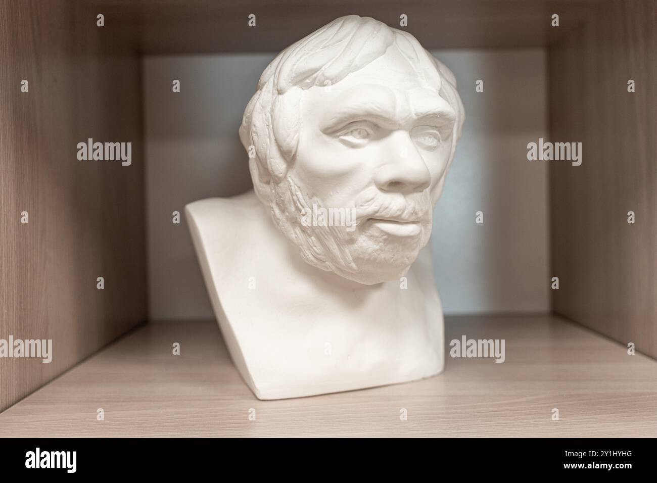 A model of an ancient man made of plaster on a shelf. Study of human ...