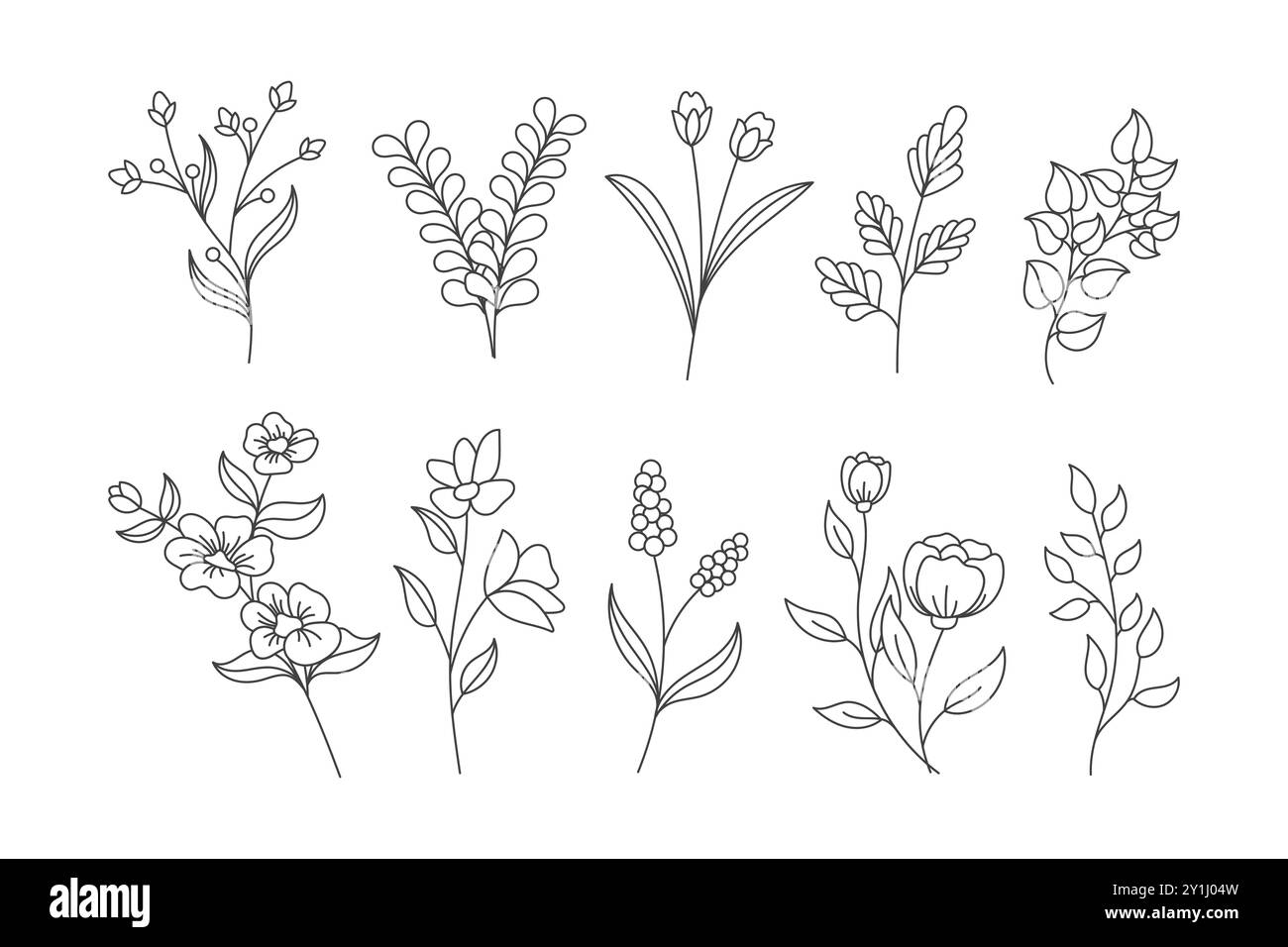 Delicate buds set hi-res stock photography and images - Alamy