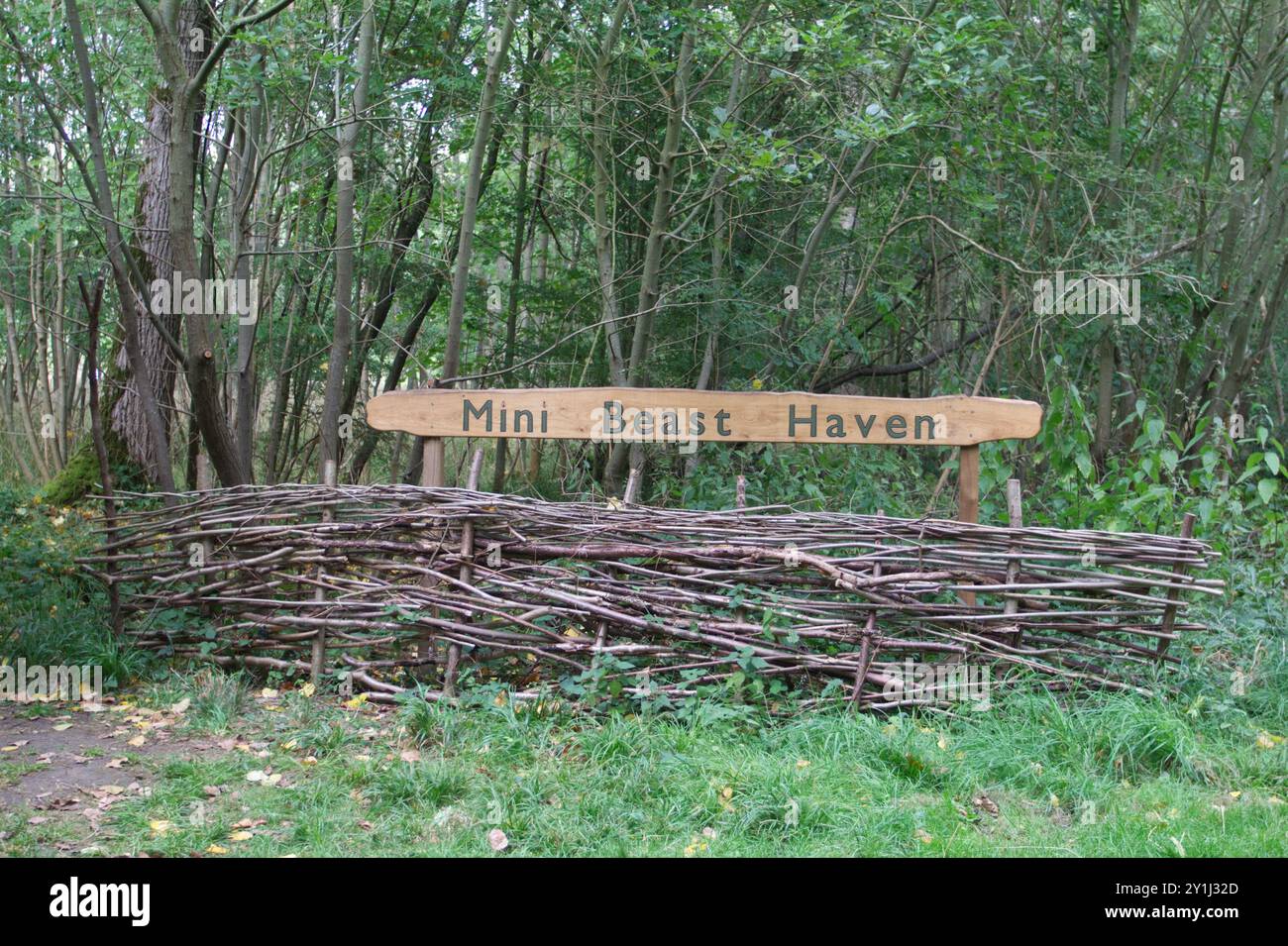 Mini beast haven hi-res stock photography and images - Alamy