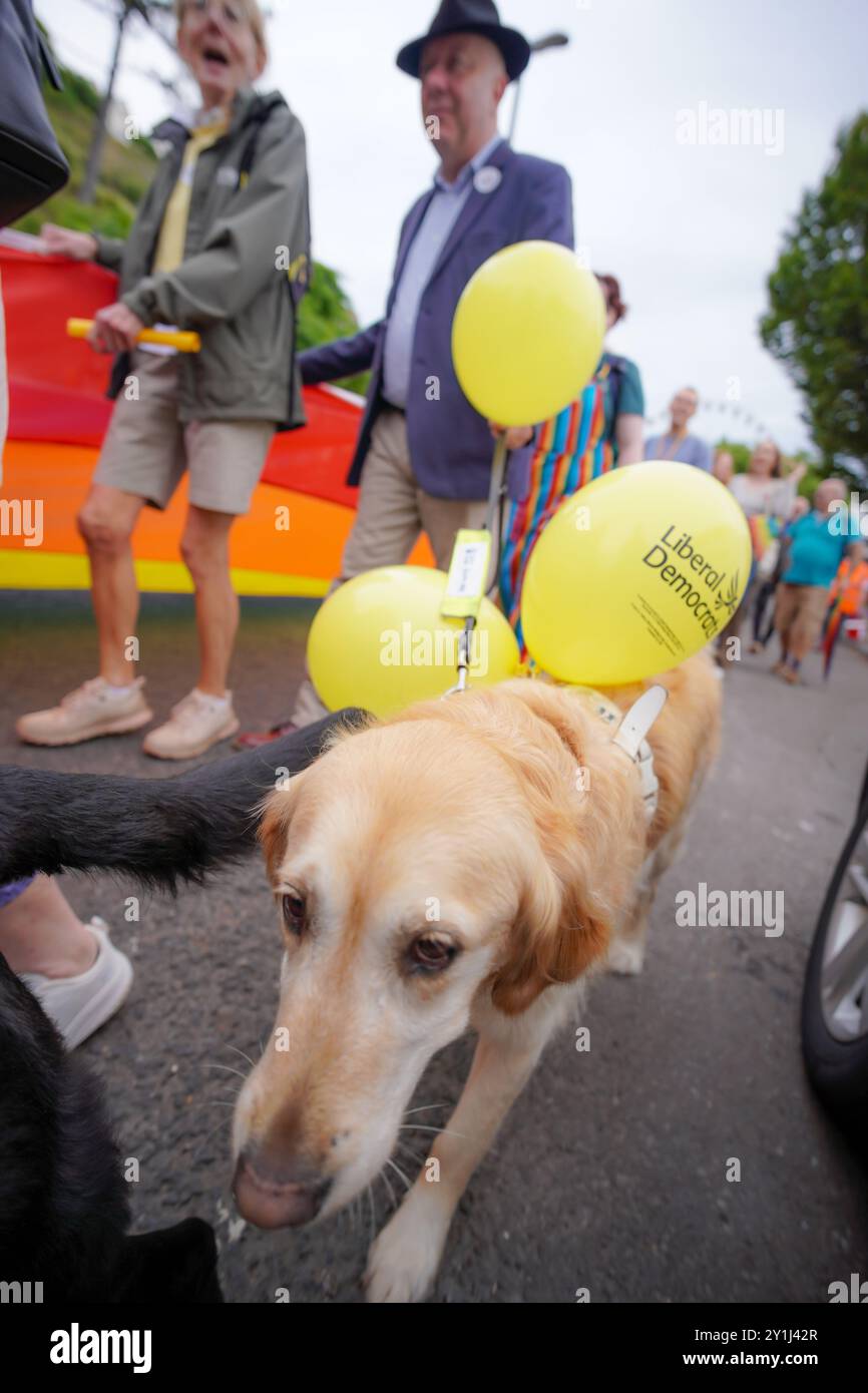 Jennie the guide dog hi-res stock photography and images - Alamy