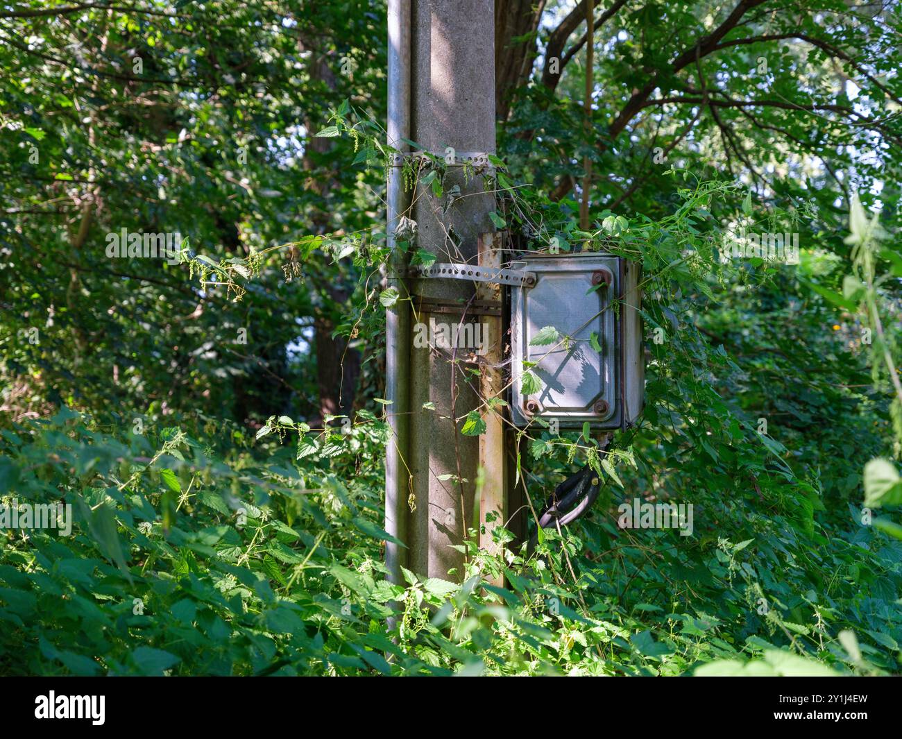 Electrical utility box covered hi-res stock photography and images - Alamy