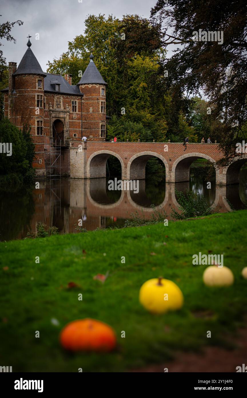 Happy Halloween. It's beggining to smell a lot like pumkins. Belgian ...