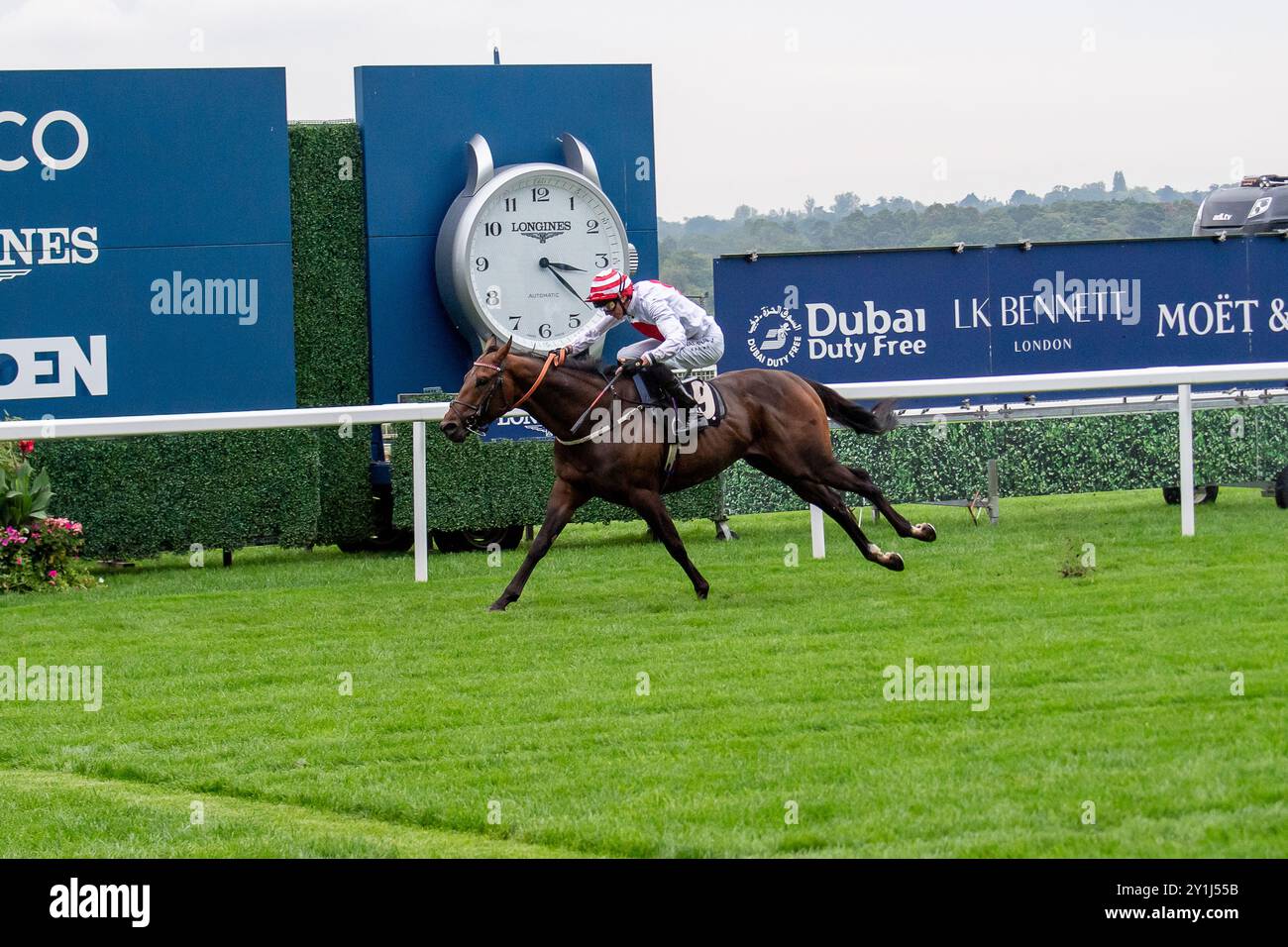 Alan doyle jockey hi-res stock photography and images - Alamy