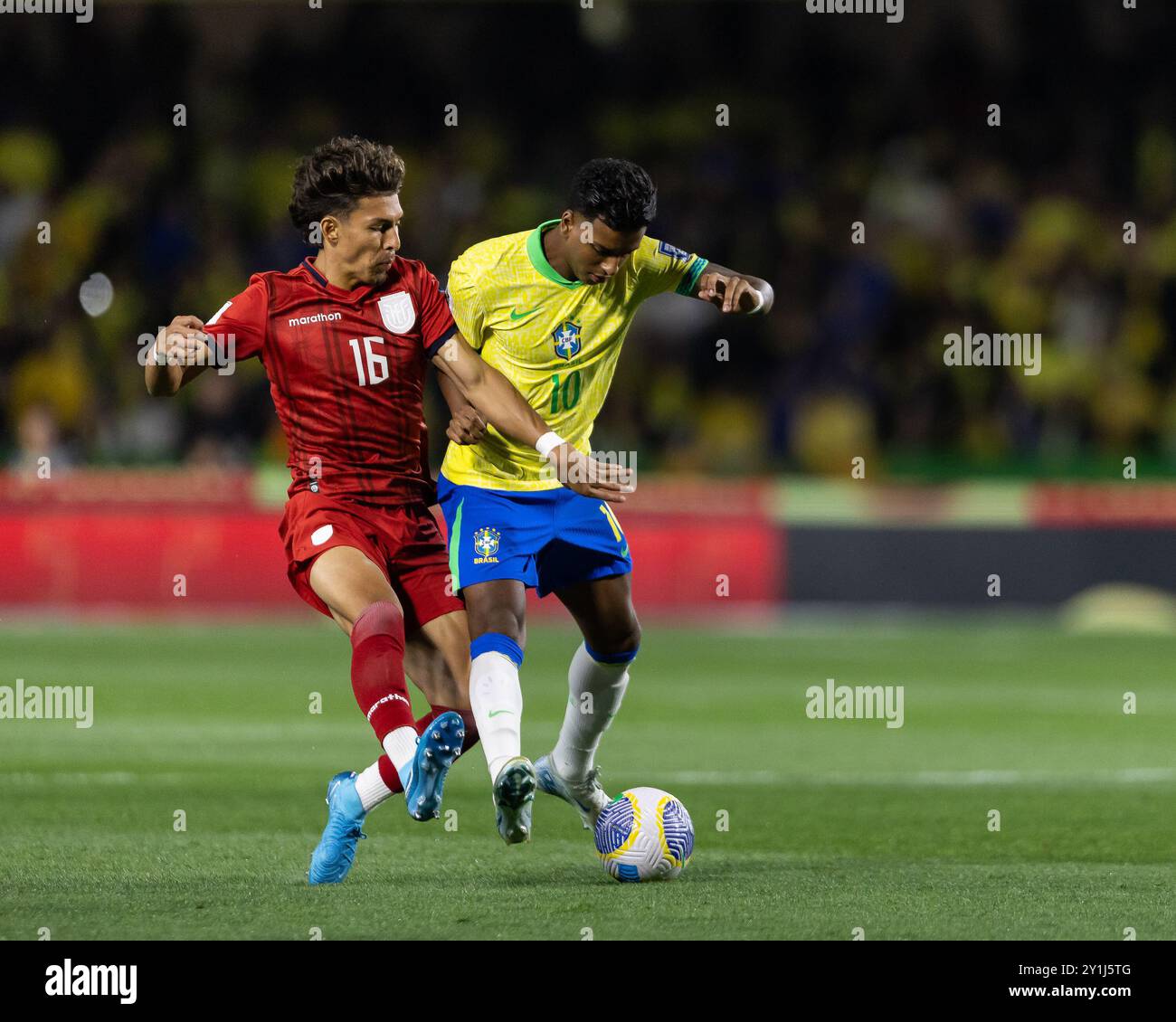 Almeria, Brazil. 06th Sep, 2024. CURITIBA, BRAZIL - SEPTEMBER 6 ...