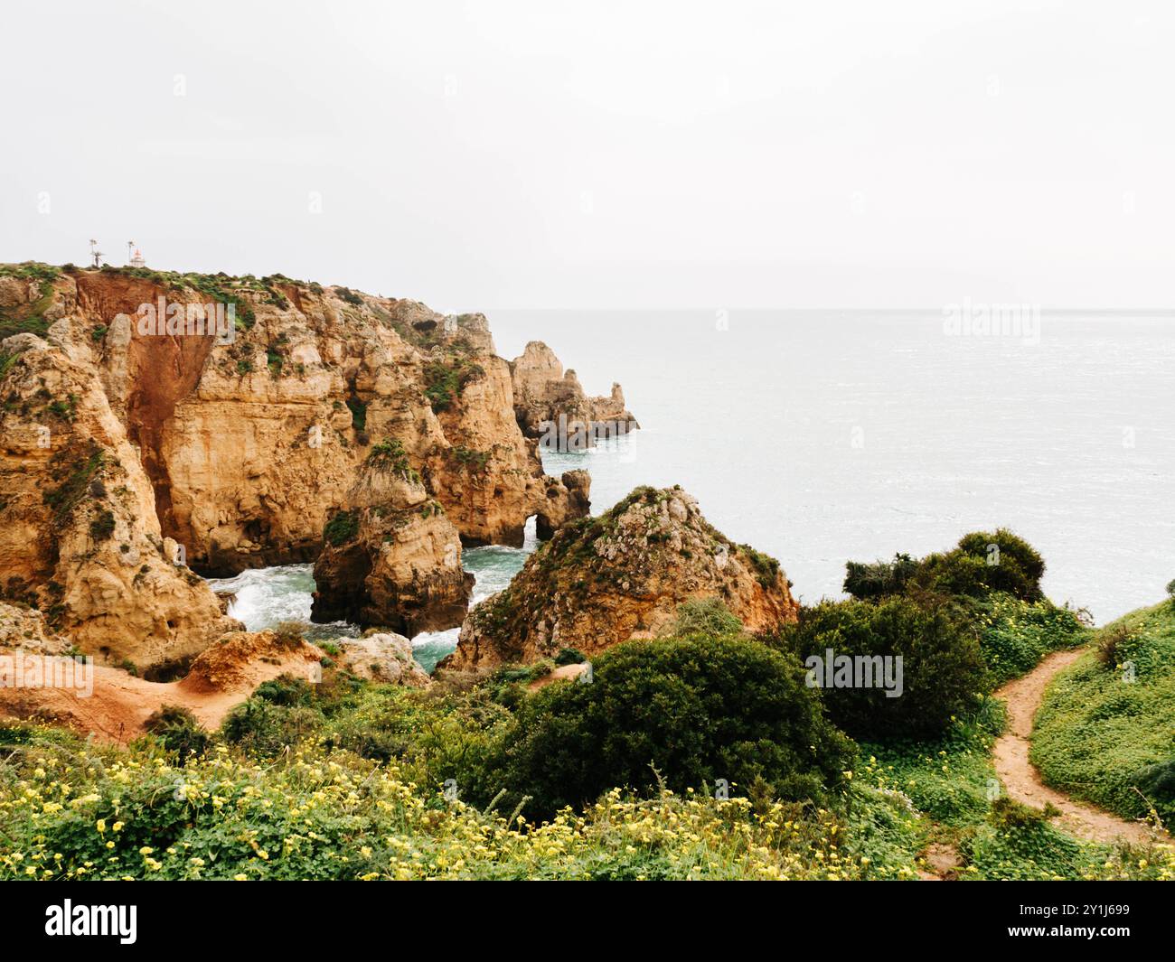 Scenic coastal cliffs covered in greenery, with dramatic rock ...