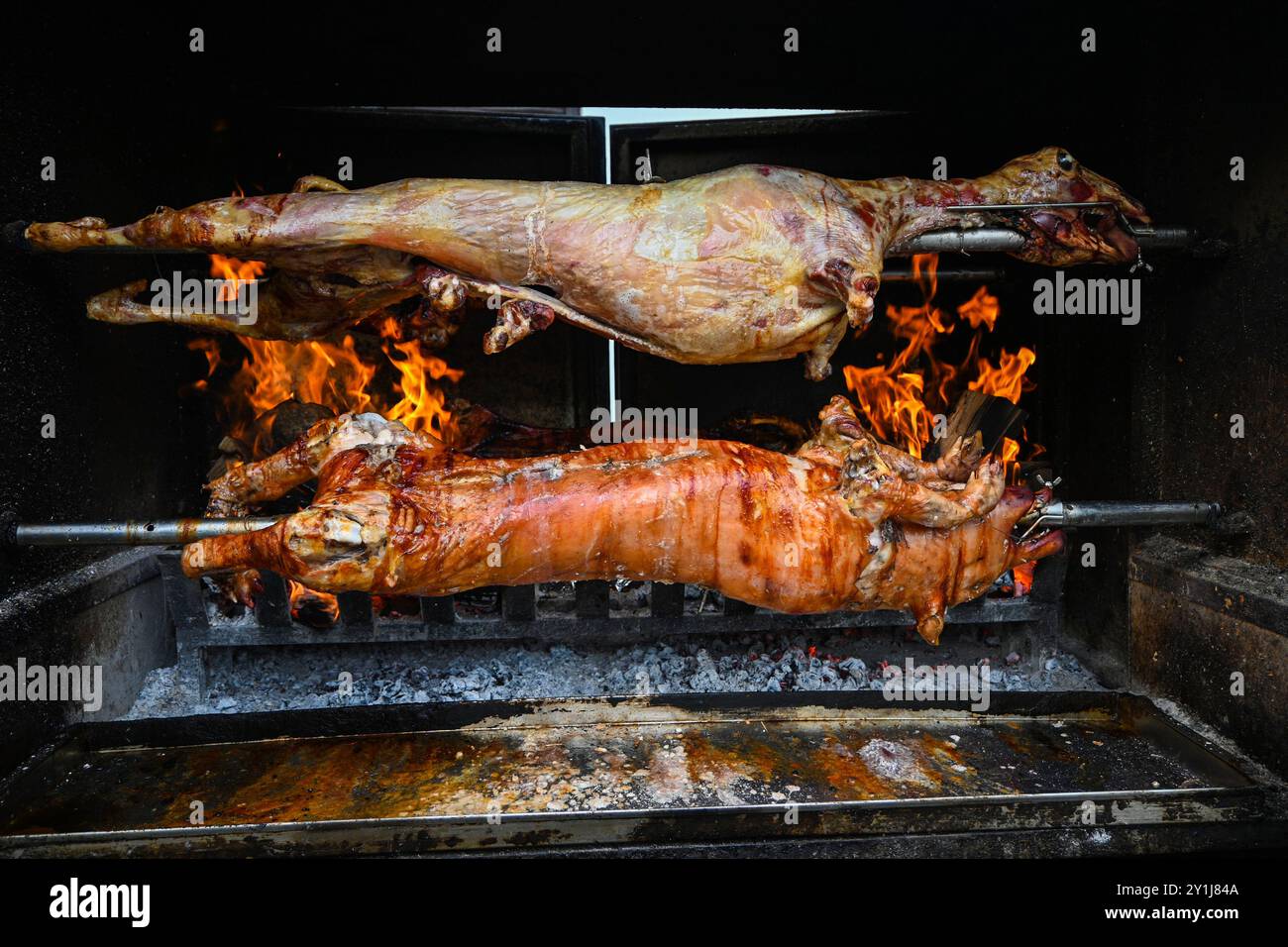 Whole lamb and pig are roasting on a spit over a fire pit Stock Photo ...