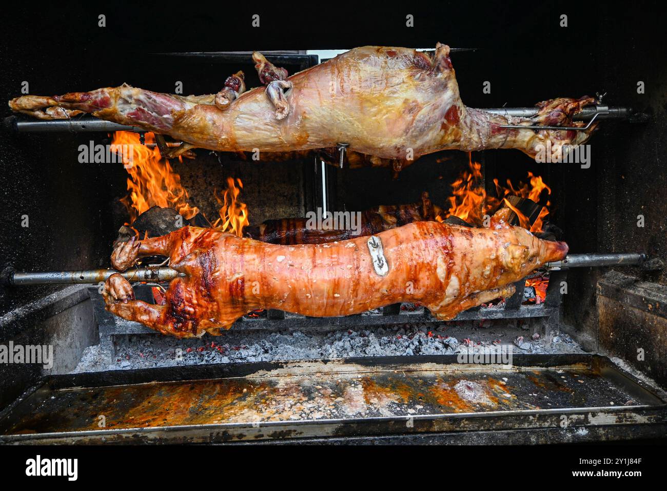 Whole lamb and pig are roasting on a spit over a fire pit Stock Photo ...