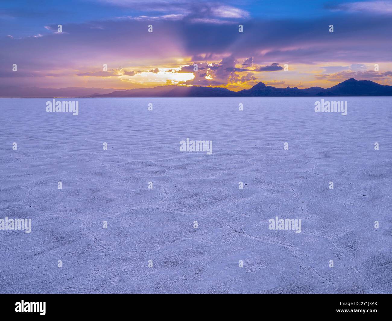 Desert salt flats hi-res stock photography and images - Alamy