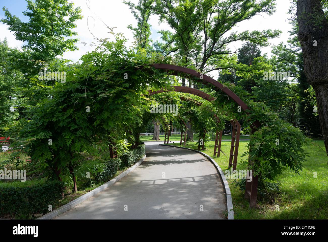 Pathway with vegetation hi-res stock photography and images - Alamy
