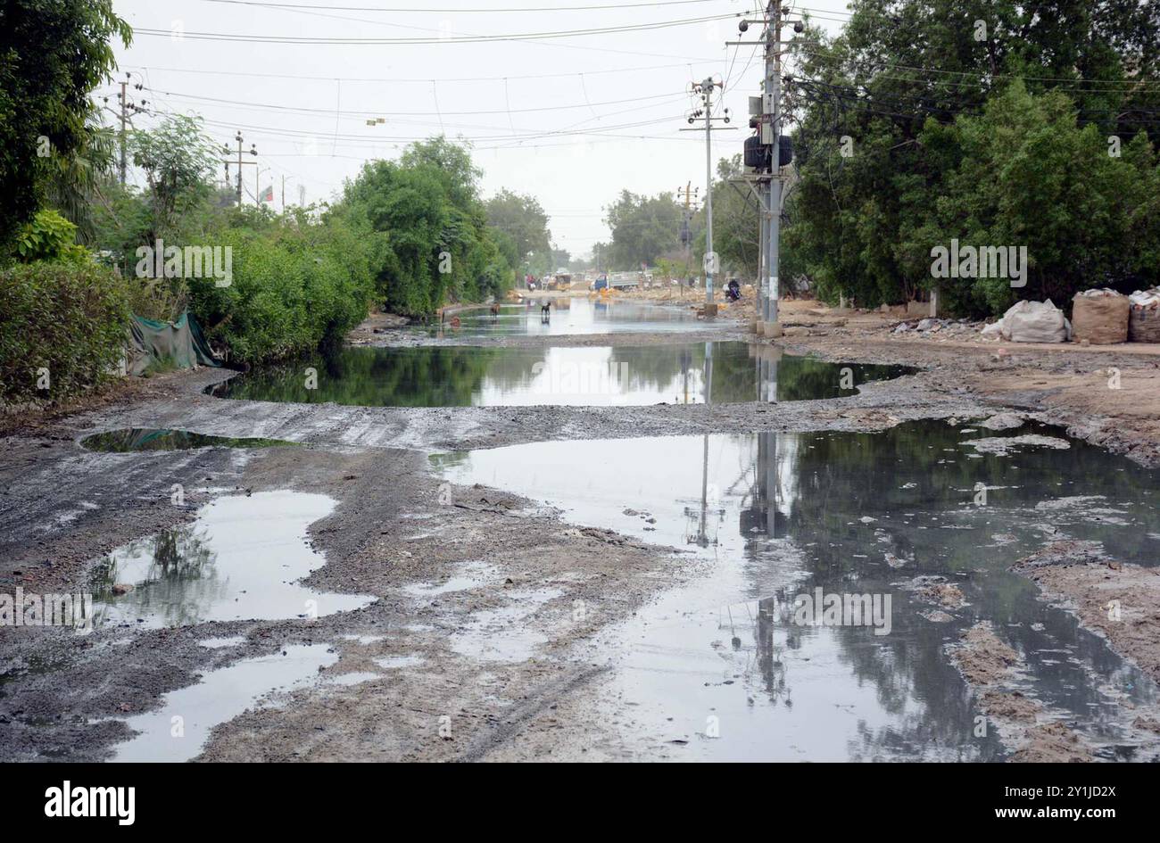 Hectic wreckage condition of S.M Munir road full of garbage, sewerage ...