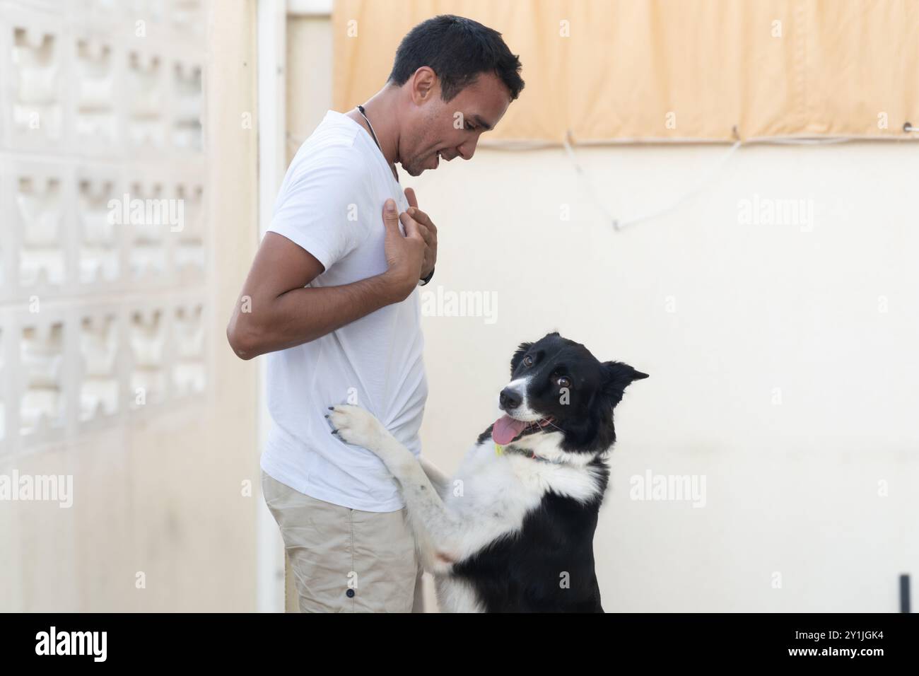 A man is petting a dog and the dog is wagging its tail Stock Photo - Alamy