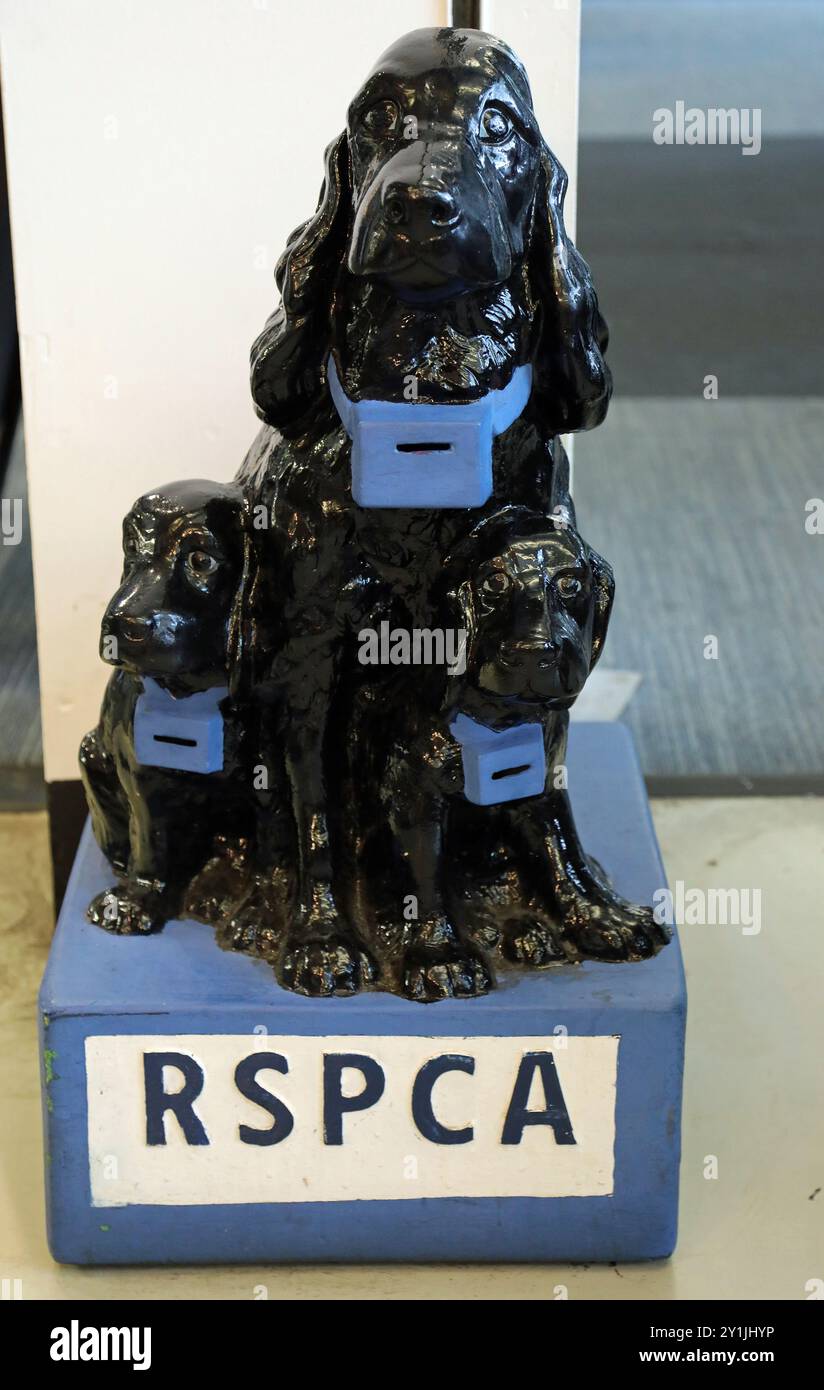 Antique RSPCA collection box Stock Photo - Alamy