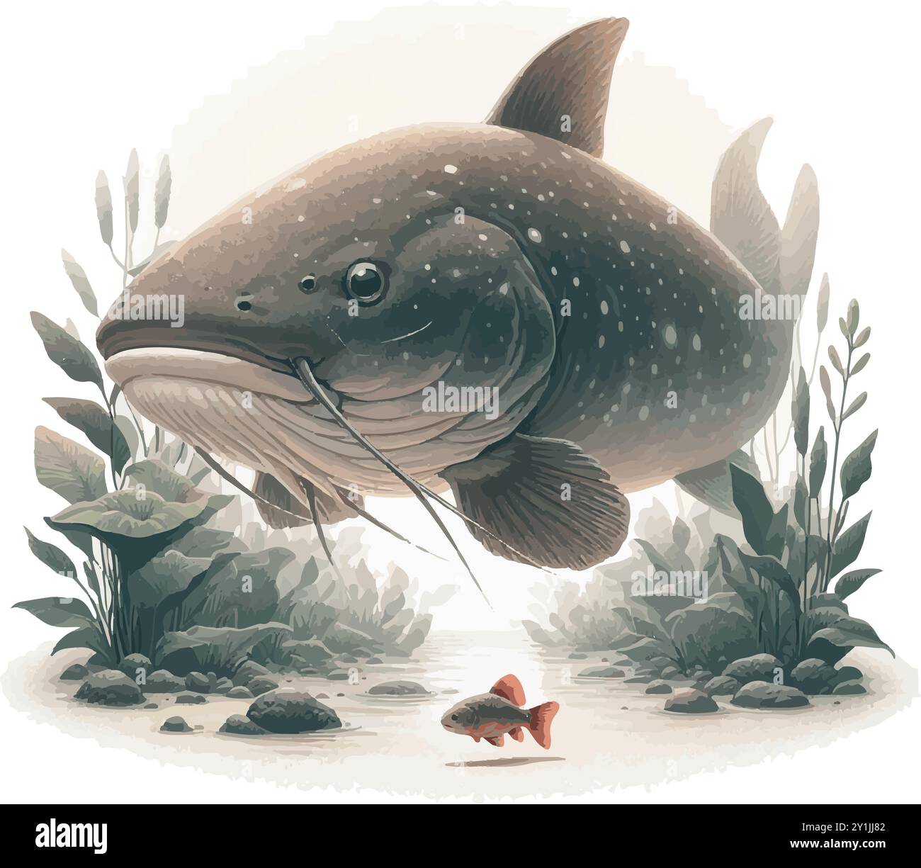 Freshwater ecosystem vector vectors hi-res stock photography and images - Alamy