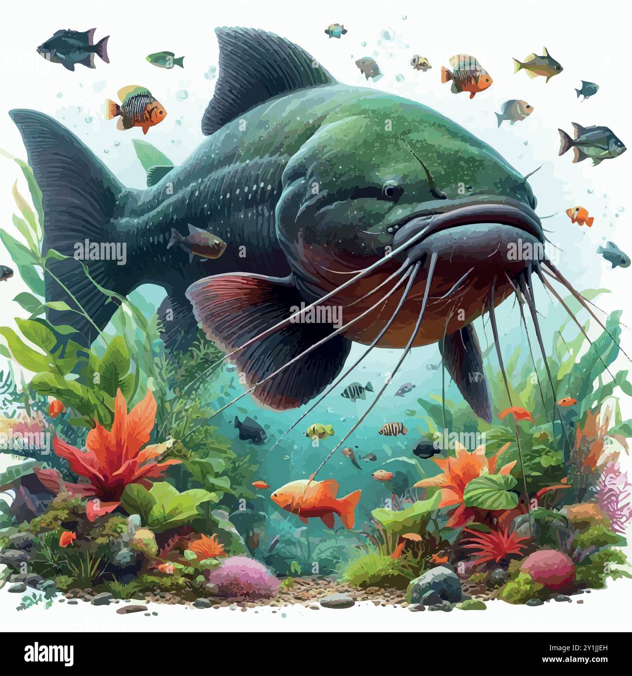 Piraíba Catfish: Facts About the Amazonian River Monster Stock Vector ...