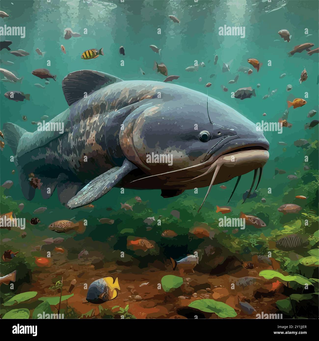 Unveiling the Mighty Piraíba Catfish of South America Stock Vector ...