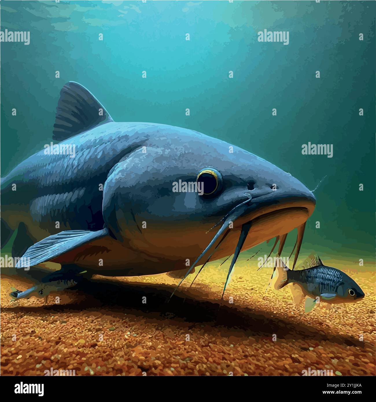 Giant Piraiba Catfish