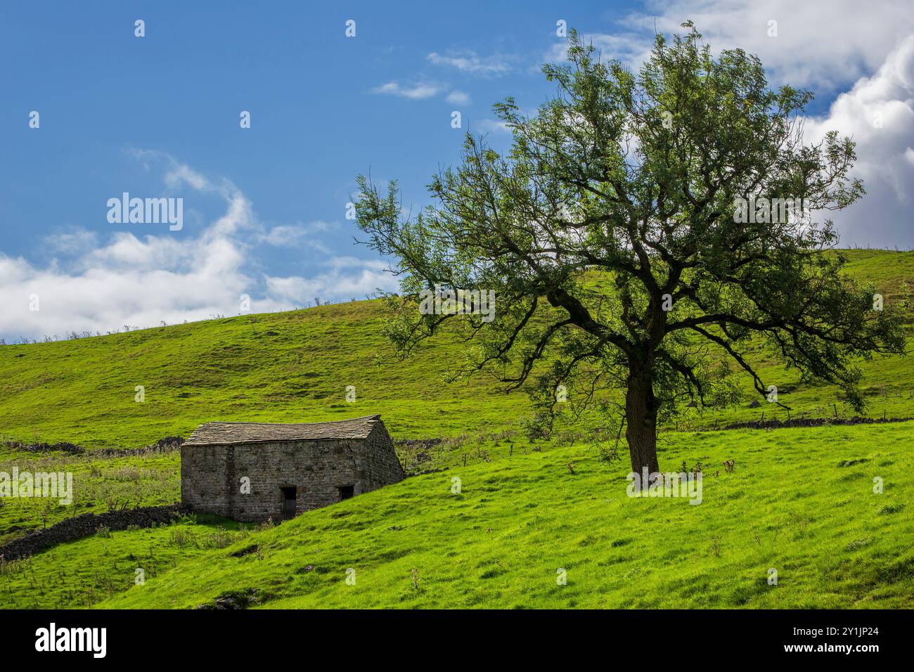 Dale side pastures hi-res stock photography and images - Alamy