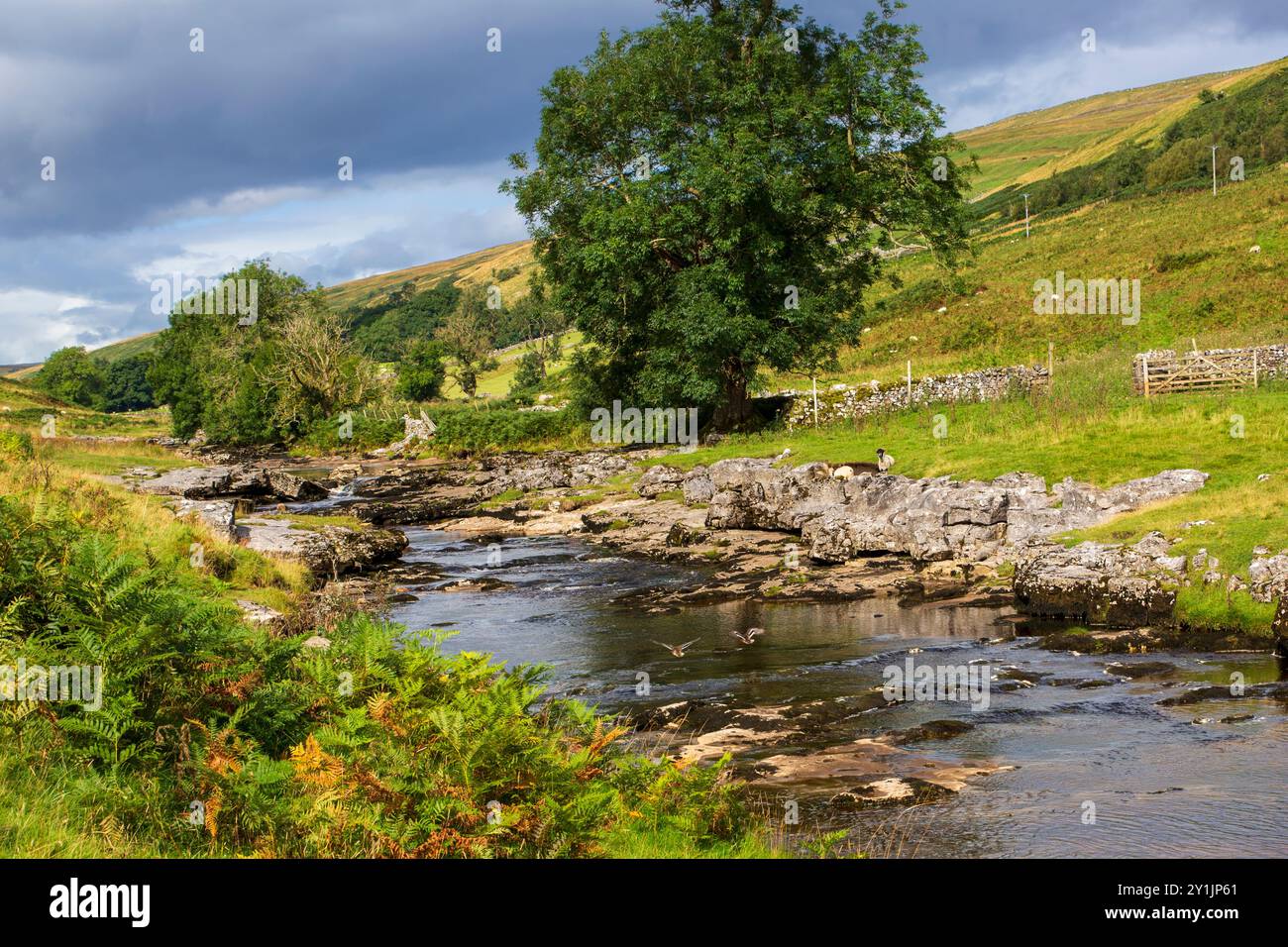 River Wharfe, Yockenthwaite, Langstrothdale, Yorkshire Dales National ...