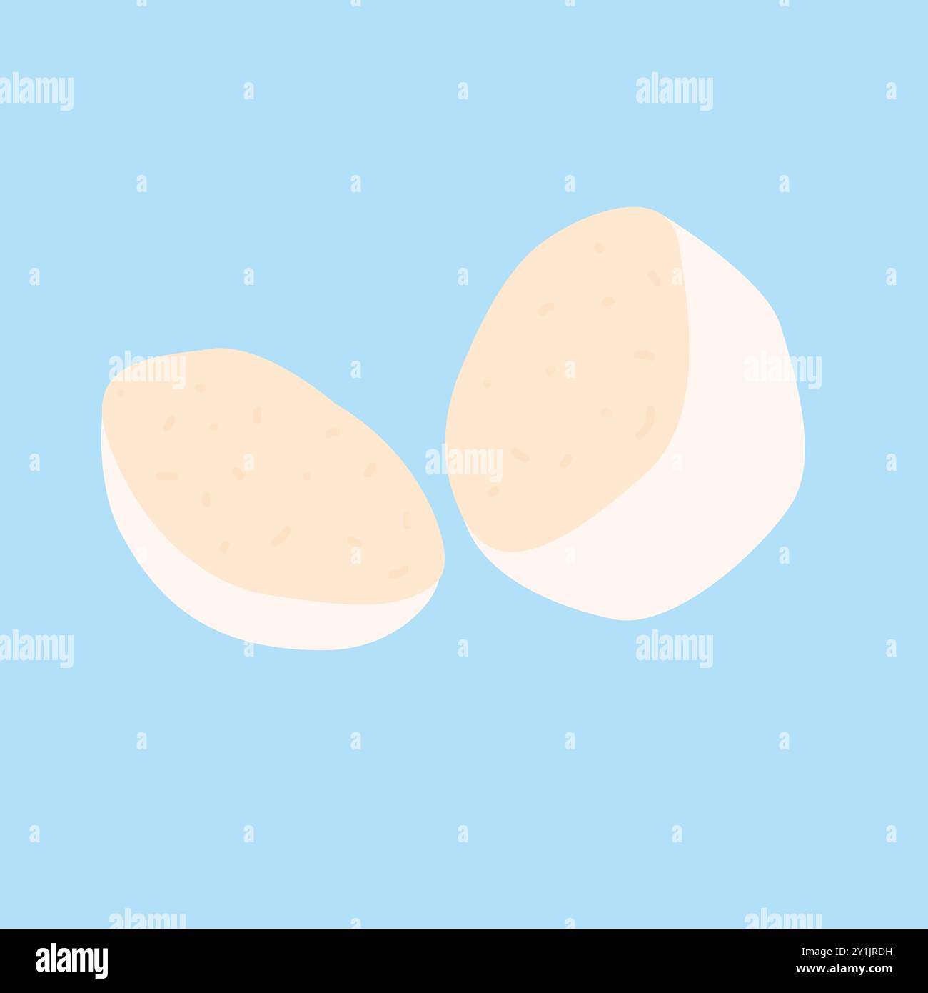 Mozzarella. Piece of cheese. Traditional Italian baby mozzarella cheese ...