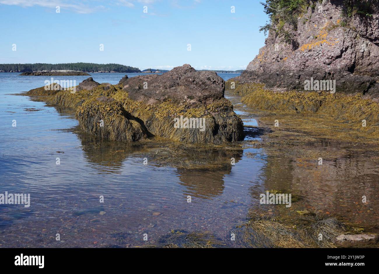 Blacks Harbour, New Brunswick, Canada Stock Photo - Alamy