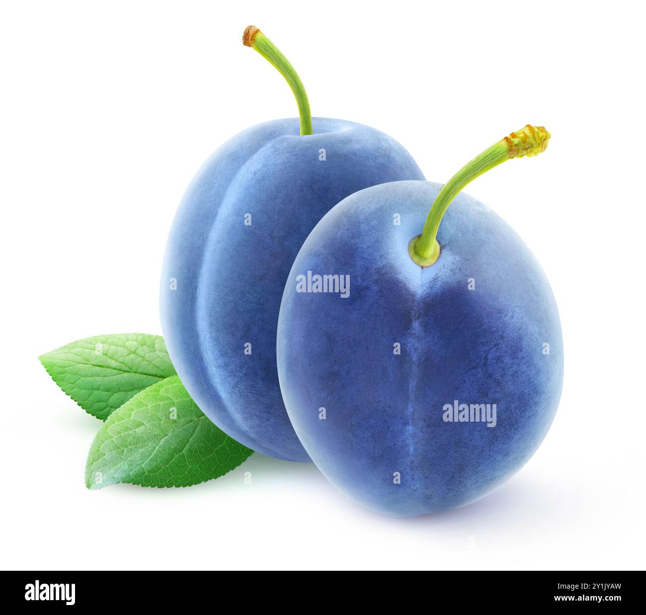 Fruits plums food leaf hi-res stock photography and images - Alamy