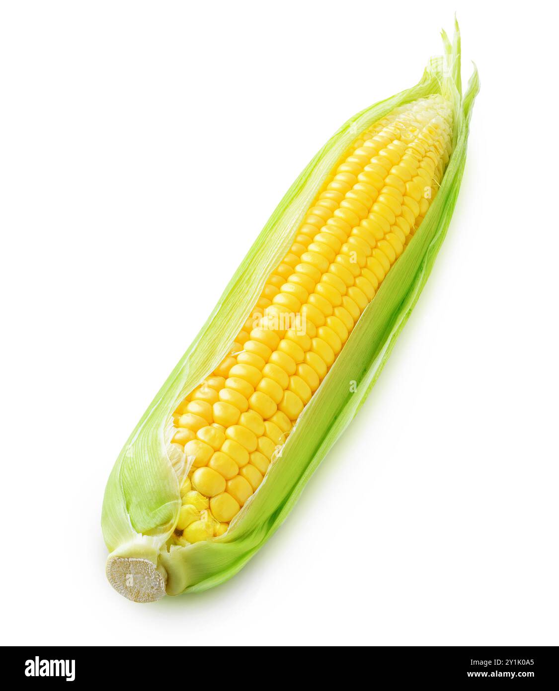 One raw corn cob isolated on white Stock Photo - Alamy