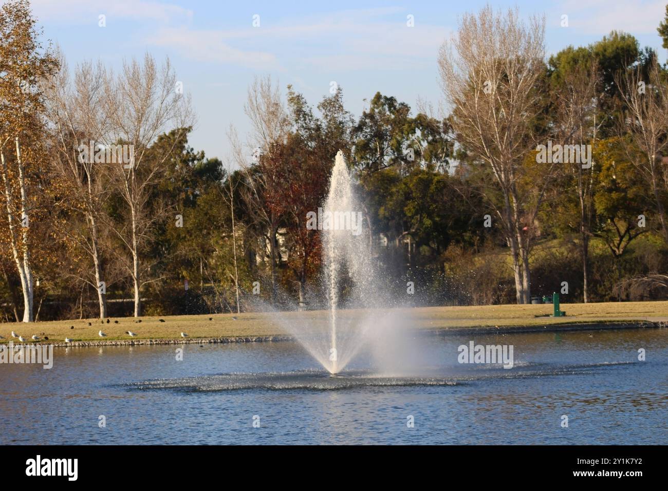 water fountain in lake landscaping Stock Photo - Alamy
